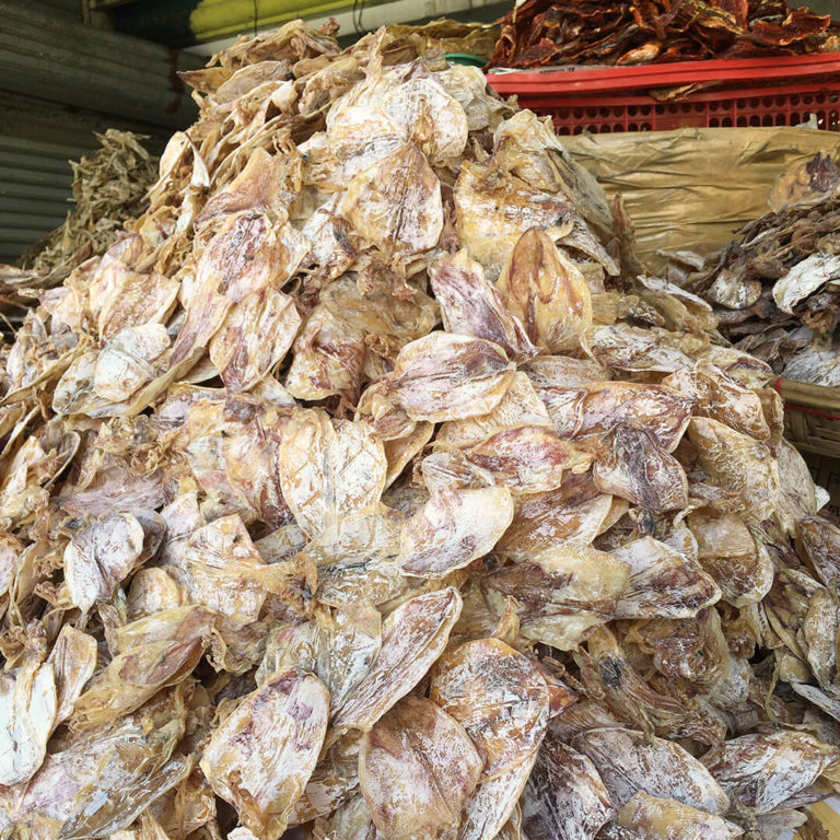 Special Pusit from Bantayan Island Cebu - FREE Shipping- Available in ...