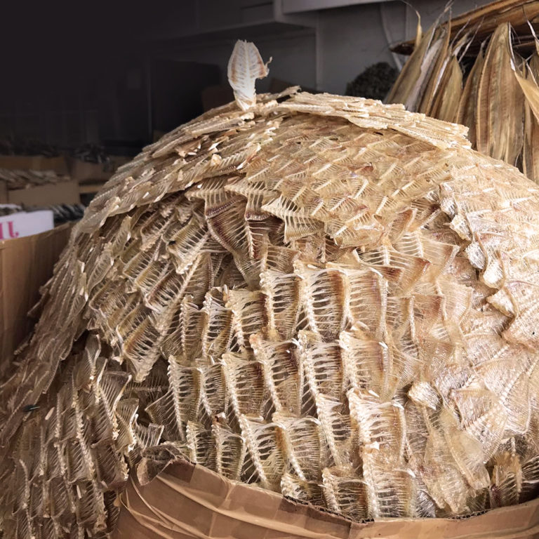 Special Dried Fish Tocino Bone from Bantayan Island Cebu - FREE ...