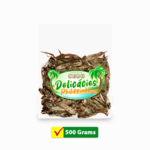 Special Dried Pusit BallPen or Tarurot from Bantayan Island Cebu - FREE ...